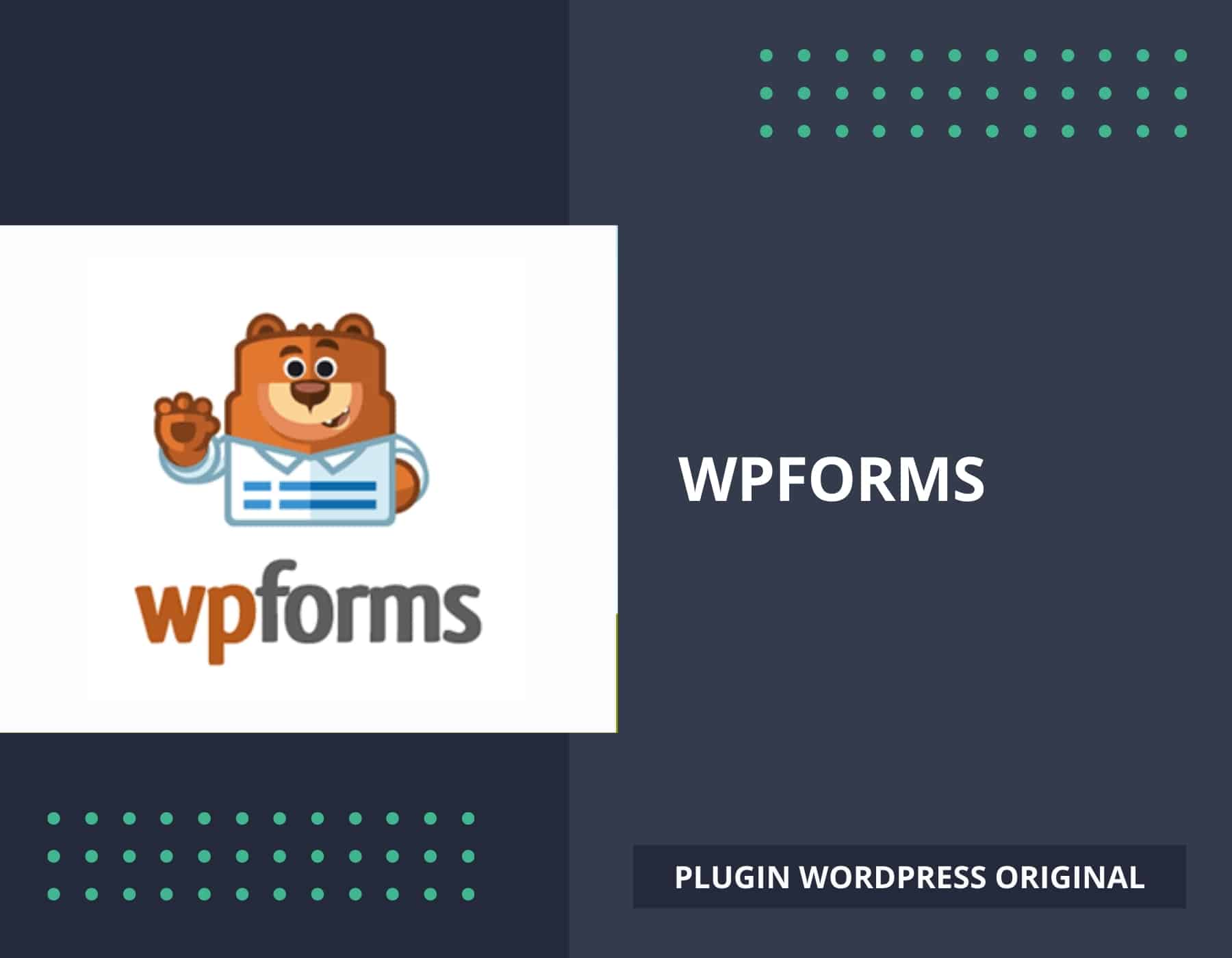 WP Forms, plugin WordPress